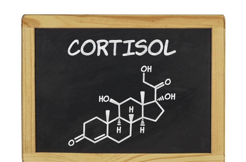 The Role of Cortisol in The Body | Zuzka Light