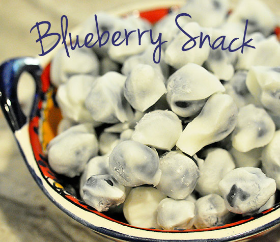 Simple, Sweet and Tart Blueberry Snack (FM)