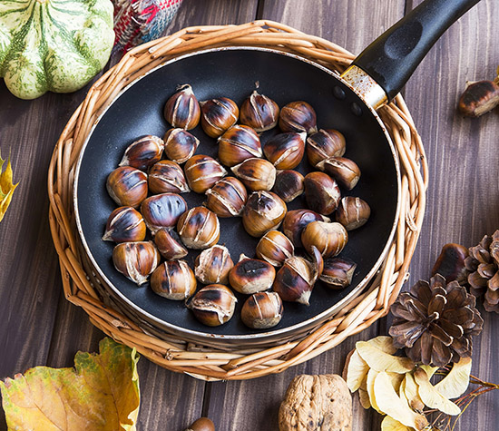 Chestnut: A Look Into the Holiday Treat | Zuzka Light