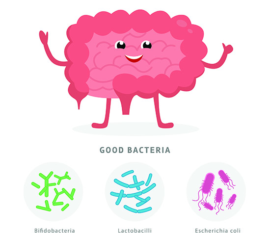Good Bacteria
